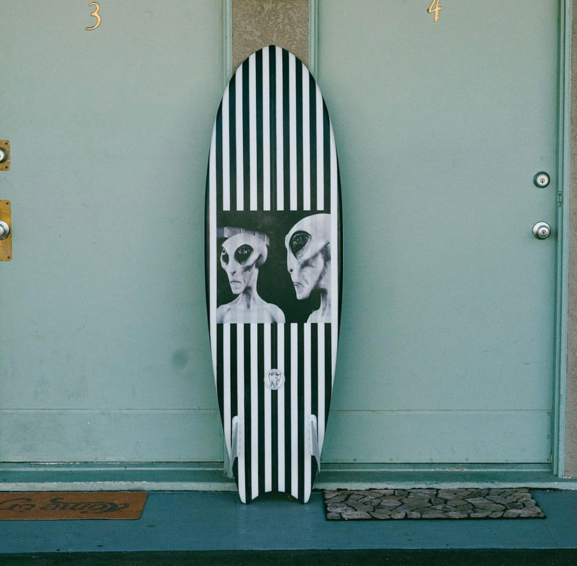 Screaming Eel – Critters Toy Co